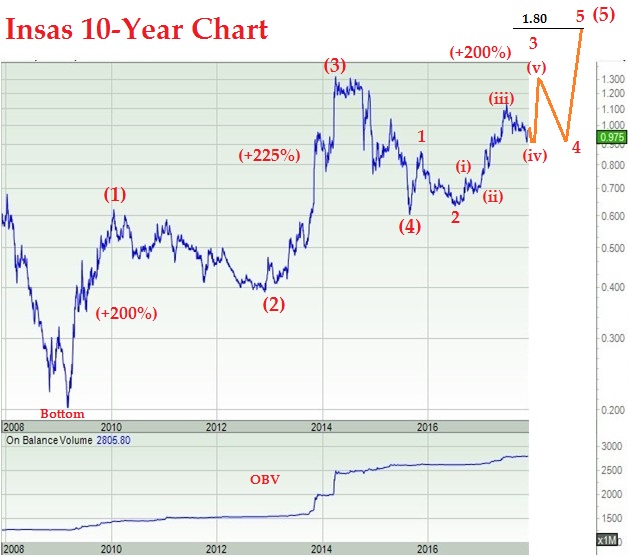 A little bit of everything: Inari and Insas