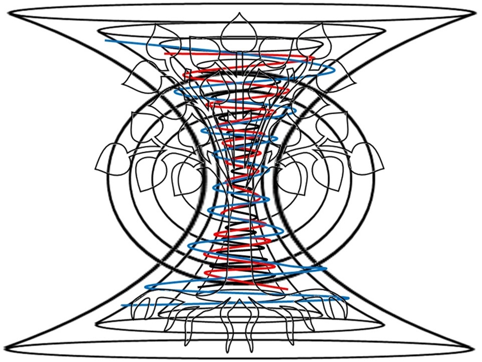 THE OSCILLATING UNIVERSE