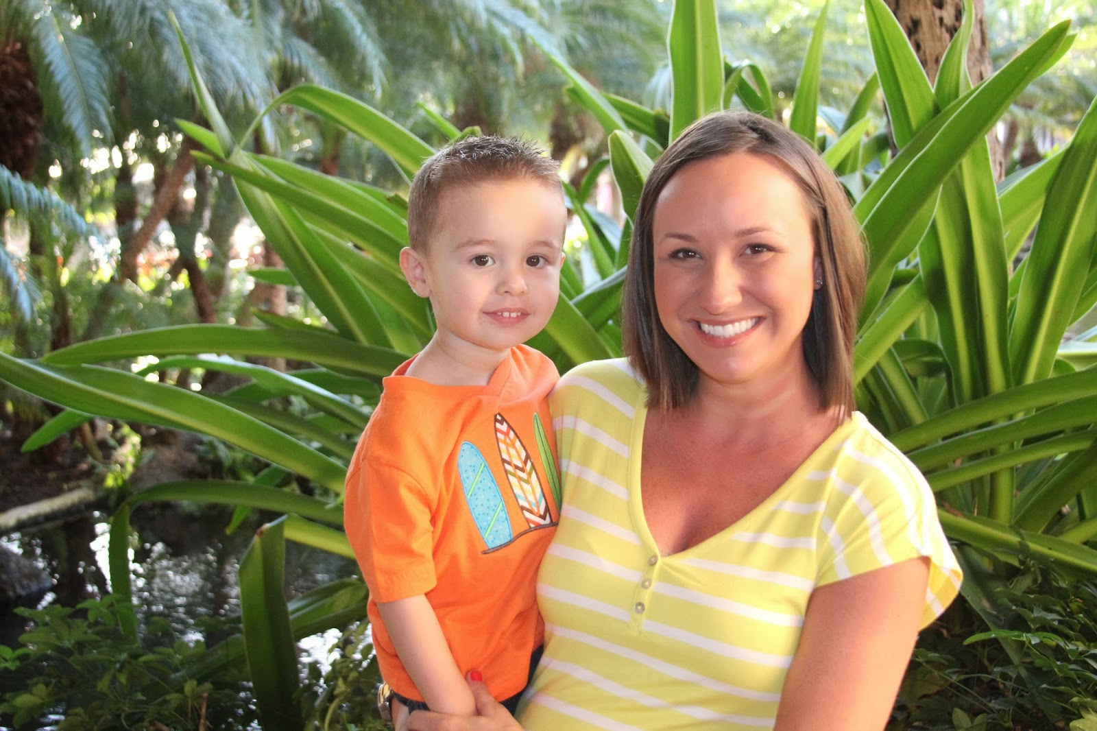 Aloha From Hawaii - THE PATRICIOS