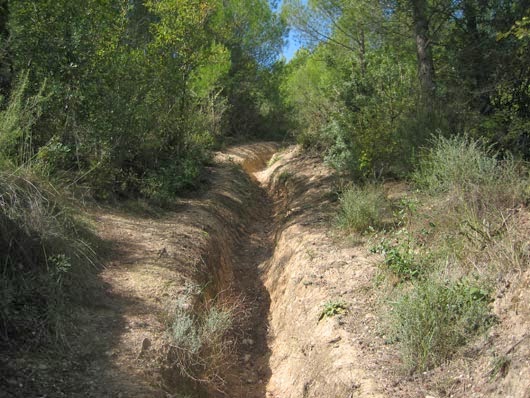 EL PERQUÈ DE TOT PLEGAT: QUÈ ÉS I QUE SIGNIFICA