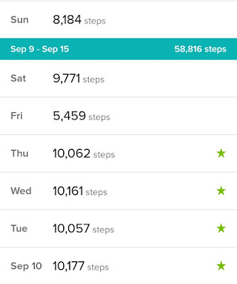 Figuring It Out 101: 10000 steps