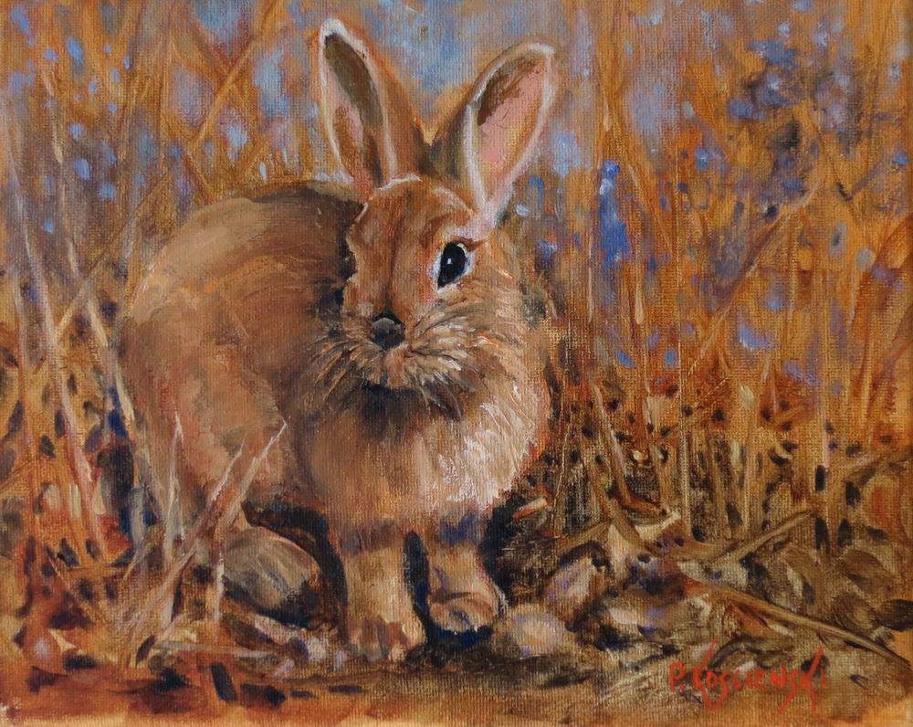 Fine Art by Pat Koscienski: Bunny - representational, impressionistic ...