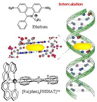 French Vocabulary Illustrated: intercaler
