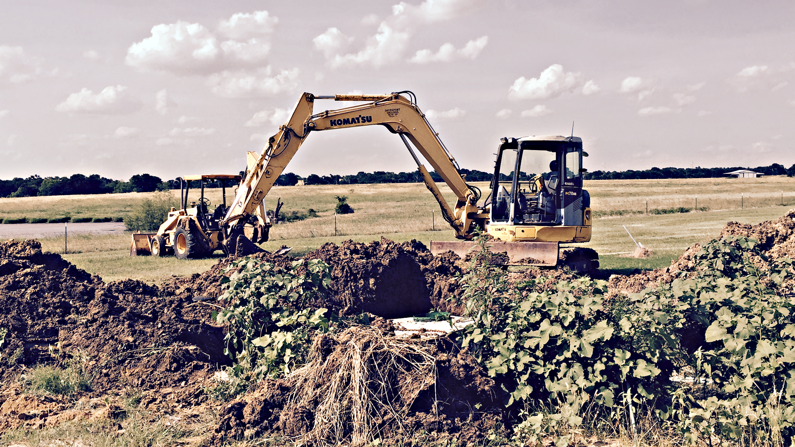 The Hermitage: June 2015