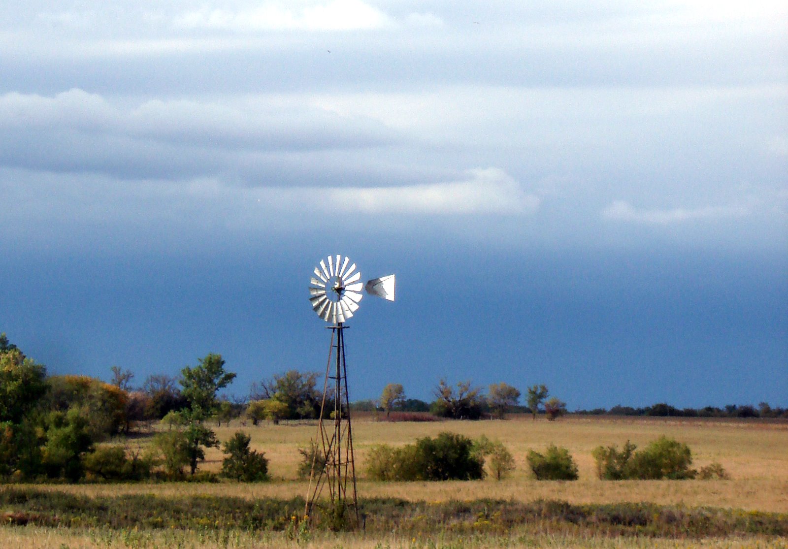 ForGetMeNot: Sweeping Kansas Prairie