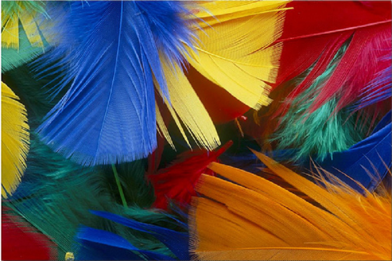 ☆Mágico y Celestial☆: La Pluma de un Ángel