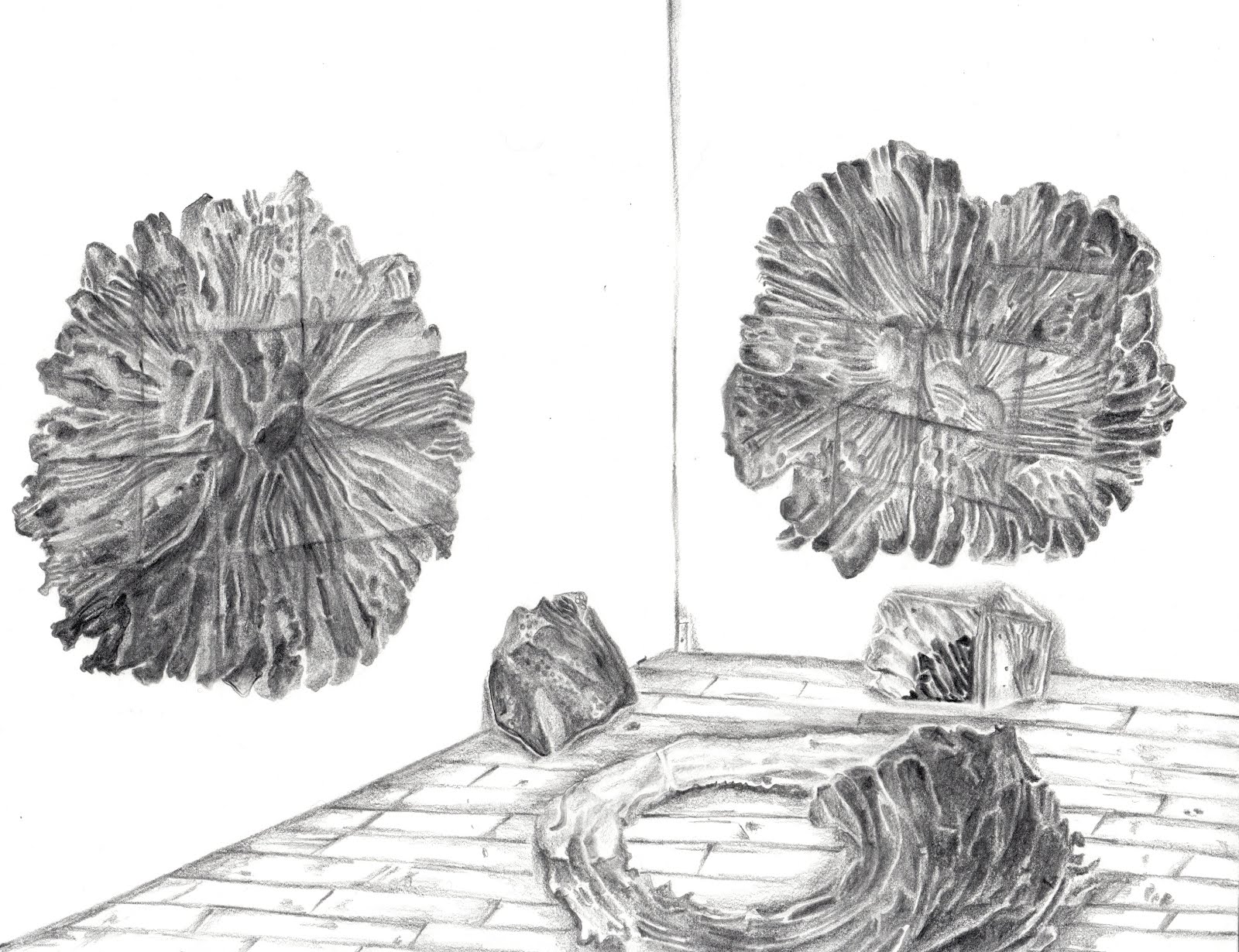 Pencil in the Studio: Brie Ruais