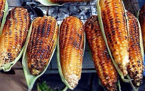 EL CARACOL, RIOVERDE, SLP: COMIDA TIPICA