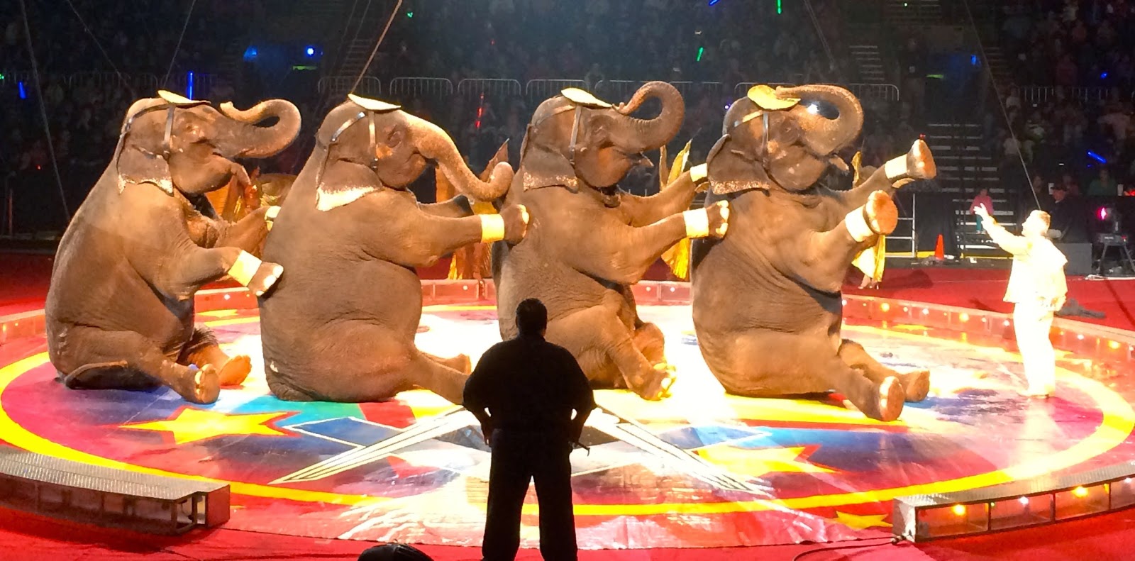 The Circus Came To Town | Anchors Aweigh