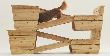 Pet Blog By Bocci @ Bocci's Beefs: In The Dog House, Part III