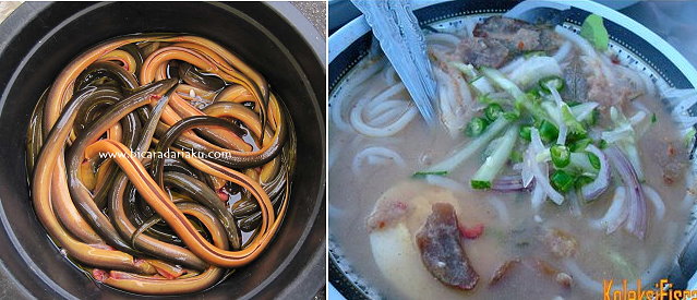 Table for 2.... or more: Kedah Perlis Malaysian Food Fest Starts Today!