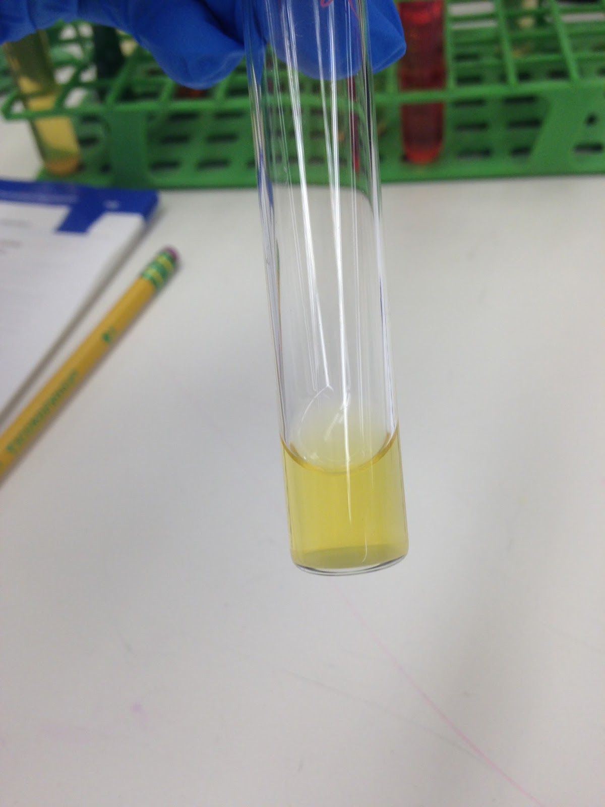 Microbiology Mania: IMViC Tests : Indole, Methyl Red, Voges-Prokauer ...