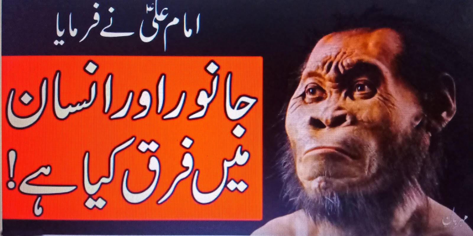 insan aur janwar mein farq || Hazrat Imam Mola Ali as insan aur janwar mein farq || Hazrat Imam Mola Ali as