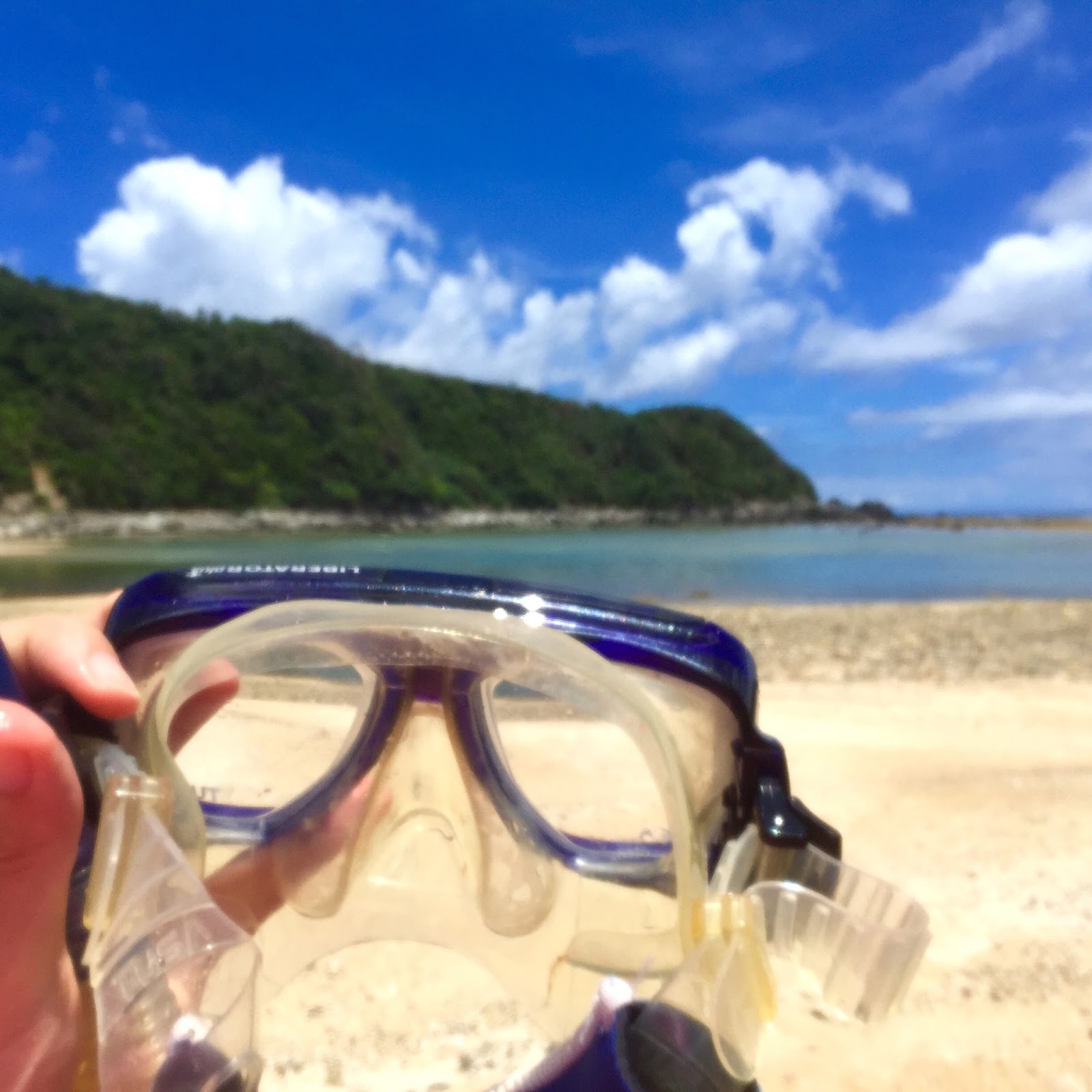 Snorkeling in Okinawa Sea | Photo 2015 | MyCollection - KoM note blog