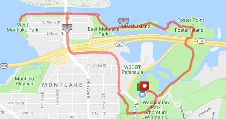 Beauty of Northwest Wilderness: Revisit Mash Island Seattle