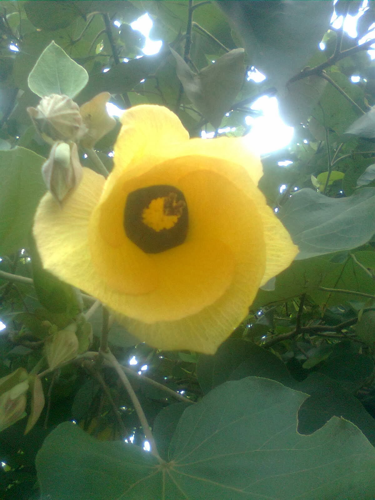 About Lin: Study Tour at Pangandaran Part 2