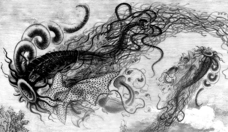 Crawfordsville Monster: Flying Mysterious Cryptid