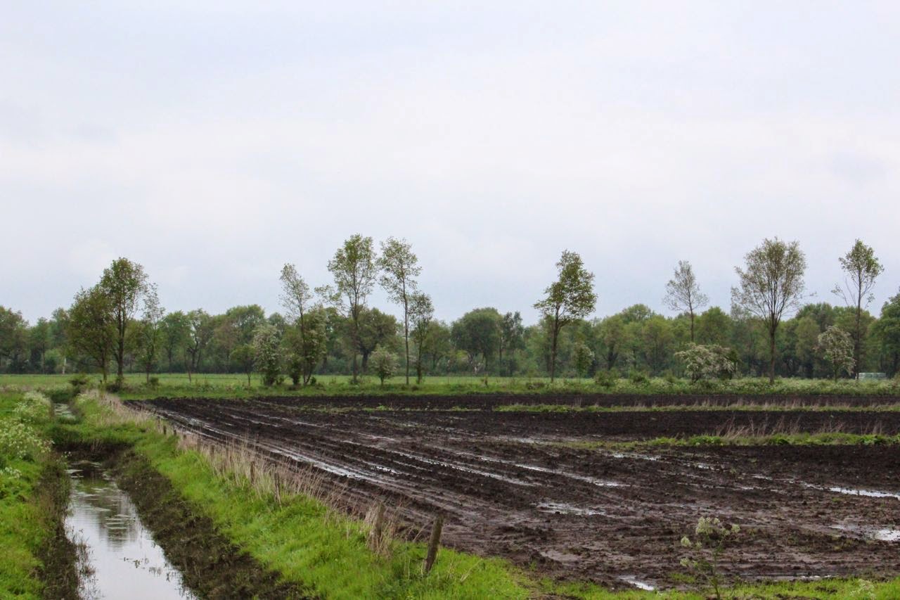 Salix Boomzorg: 2014