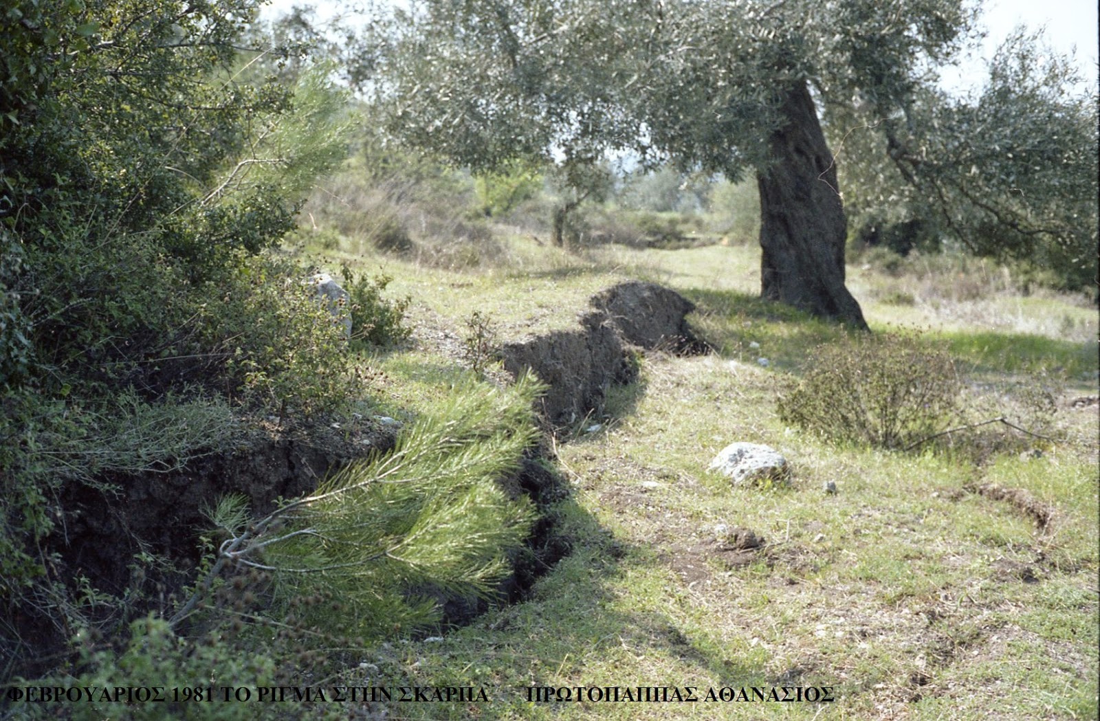 ΠΕΡΑΧΩΡΑ, 24 ΦΕΒΡΟΥΑΡΙΟΥ 1981: ΦΩΤΟΓΡΑΦΙΚΑ ΣΤΙΓΜΙΟΤΥΠΑ ΑΠΟ ΤΟΥΣ ...