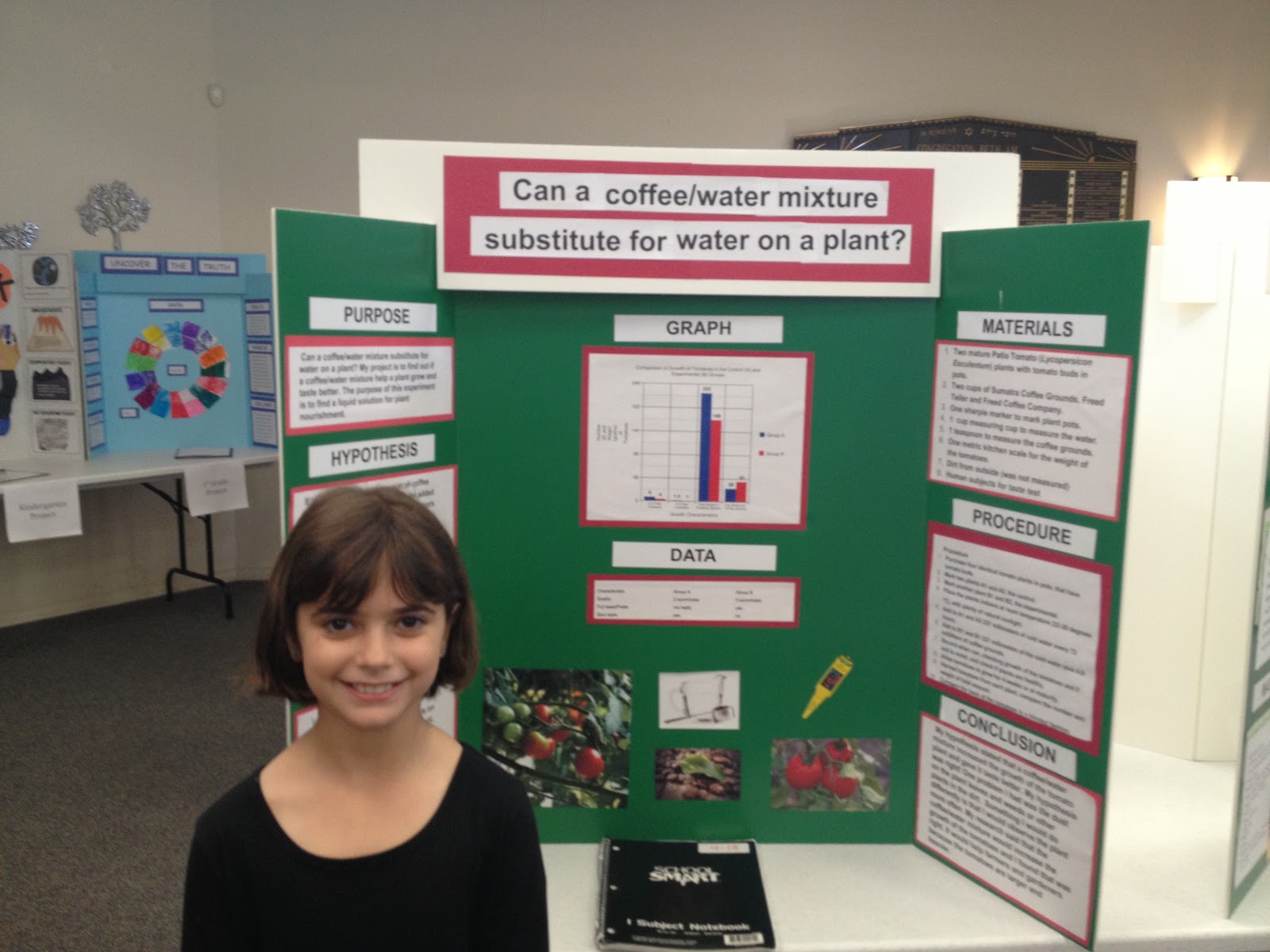 Ms. Social Studies: Science Fair Projects