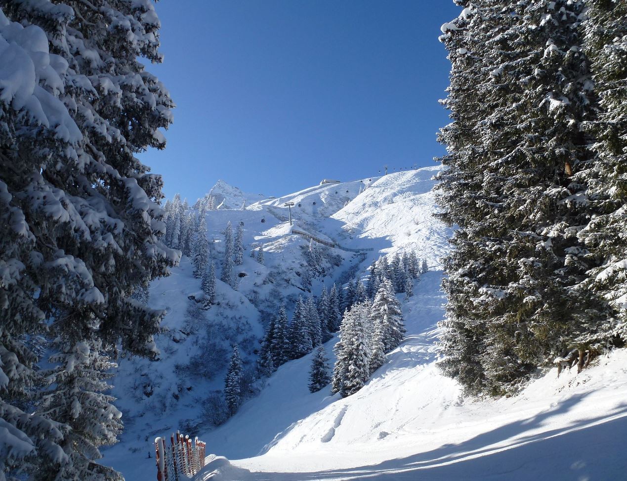 Ilmaisia kuvituskuvia: Talvimaisema