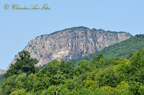 In linii mari: Svinita