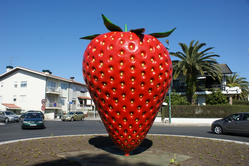 O Morango de Canidelo | Plantas aromáticas, medicinais e condimentares