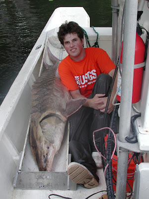 My life as a fisheries scientist: Jumping Sturgeon