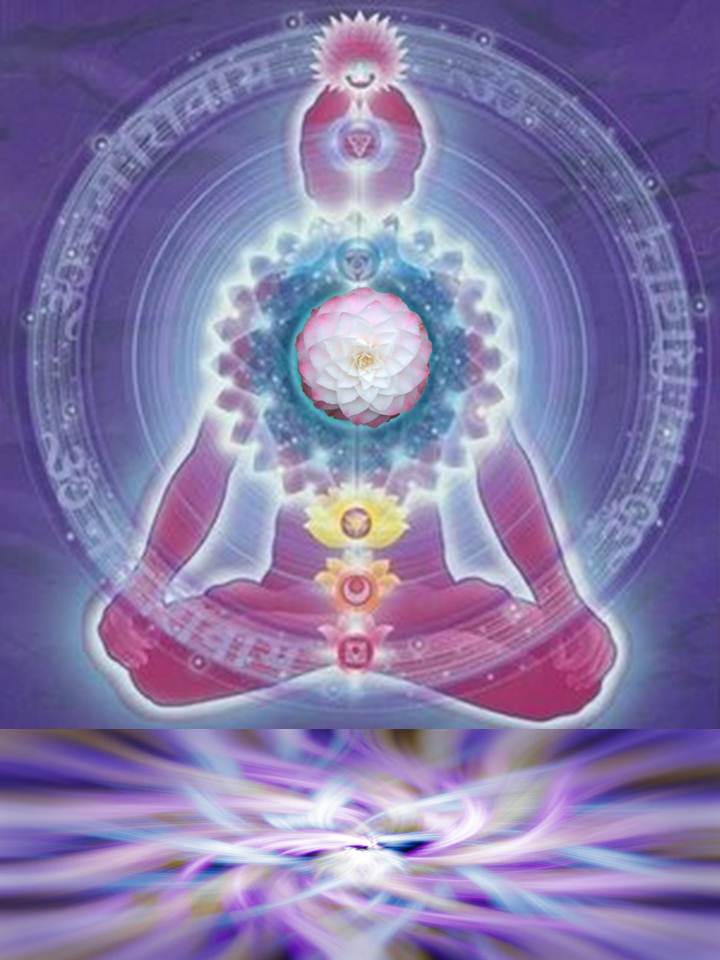 LOGOS: AMADA MARIA - AS ROSAS DA ALMA