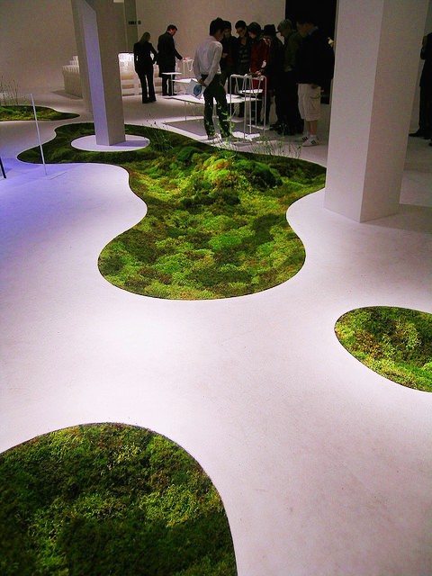 Ewa in the Garden: Green design solutions - moss carpets