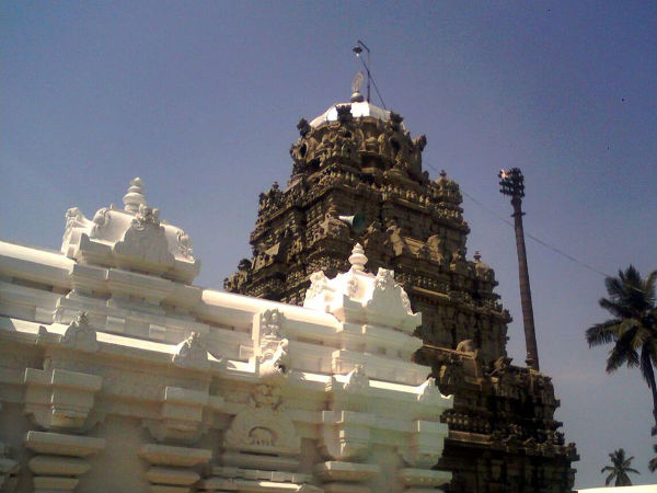 Raja Thatha's stotra translations: Prayers to Kurma Avathara Of Vishnu