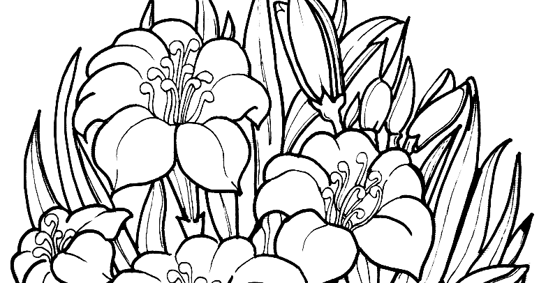 Color These Lilies for Easter | Color The Bible