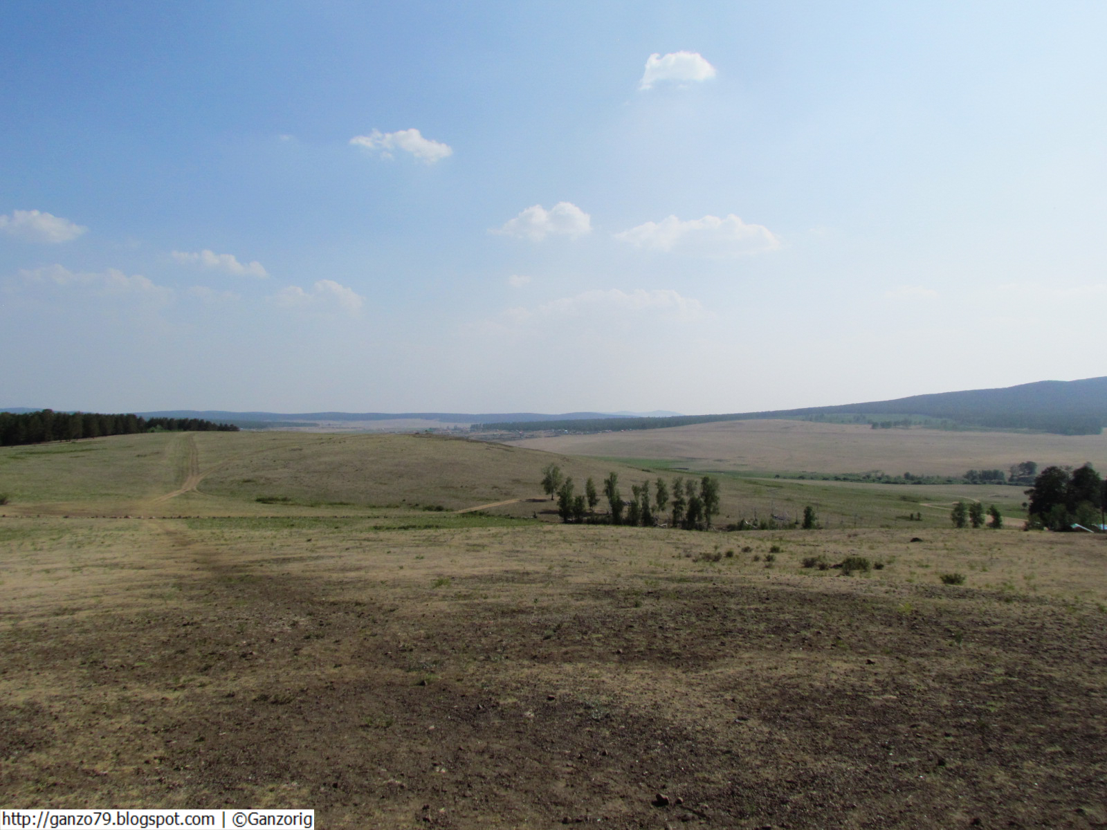 G Hz0p19 B10g Дэлүүн Болдог