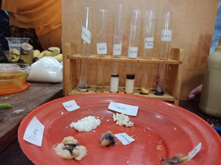 Laporan Percobaan Uji Karbohidrat - MITRA EDUKASI