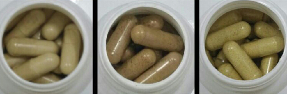 BUAH ZURIAT DEBUNGA KURMA: SET IKHTIAR HAMIL ALHABIB SET SUBUR SUAMI ISTERI