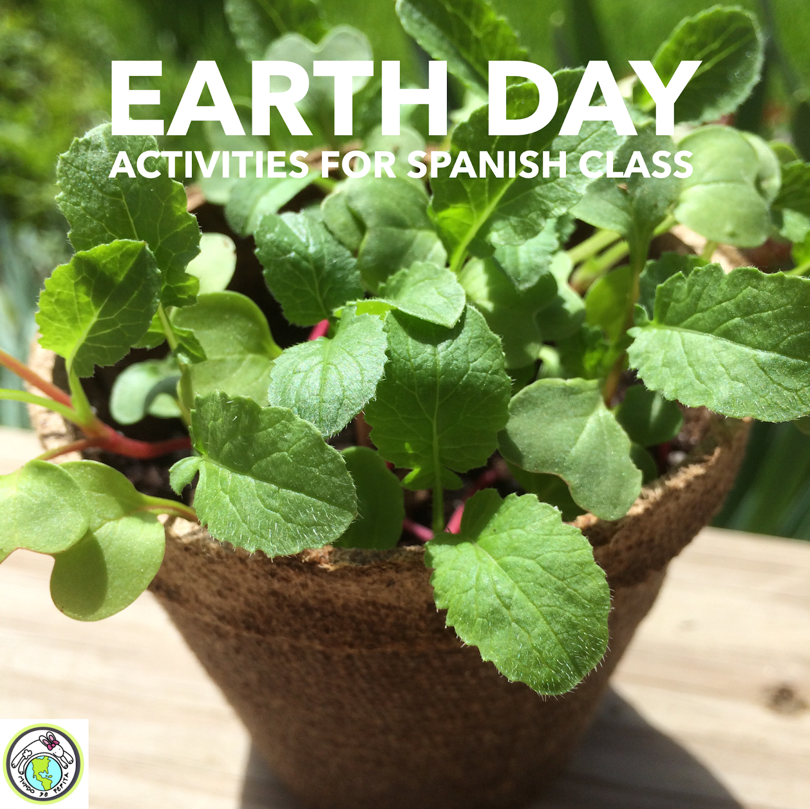 Fun Earth Day Activities for Spanish Class! | Mundo de Pepita