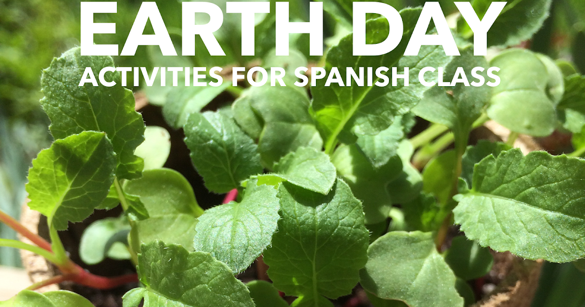 Fun Earth Day Activities for Spanish Class! | Mundo de Pepita