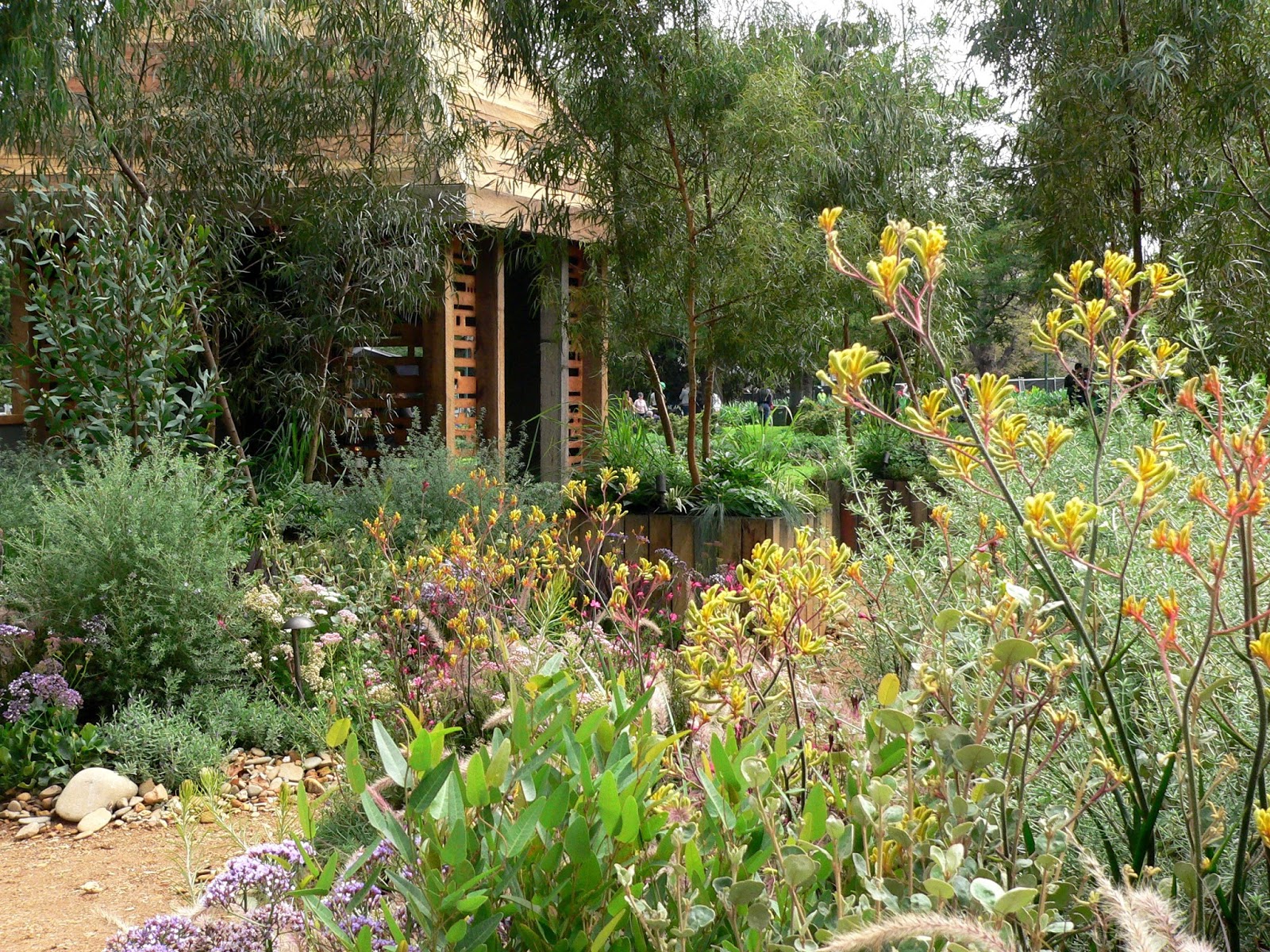 Aggregata Plants & Gardens: Melbourne International Flower & Garden ...