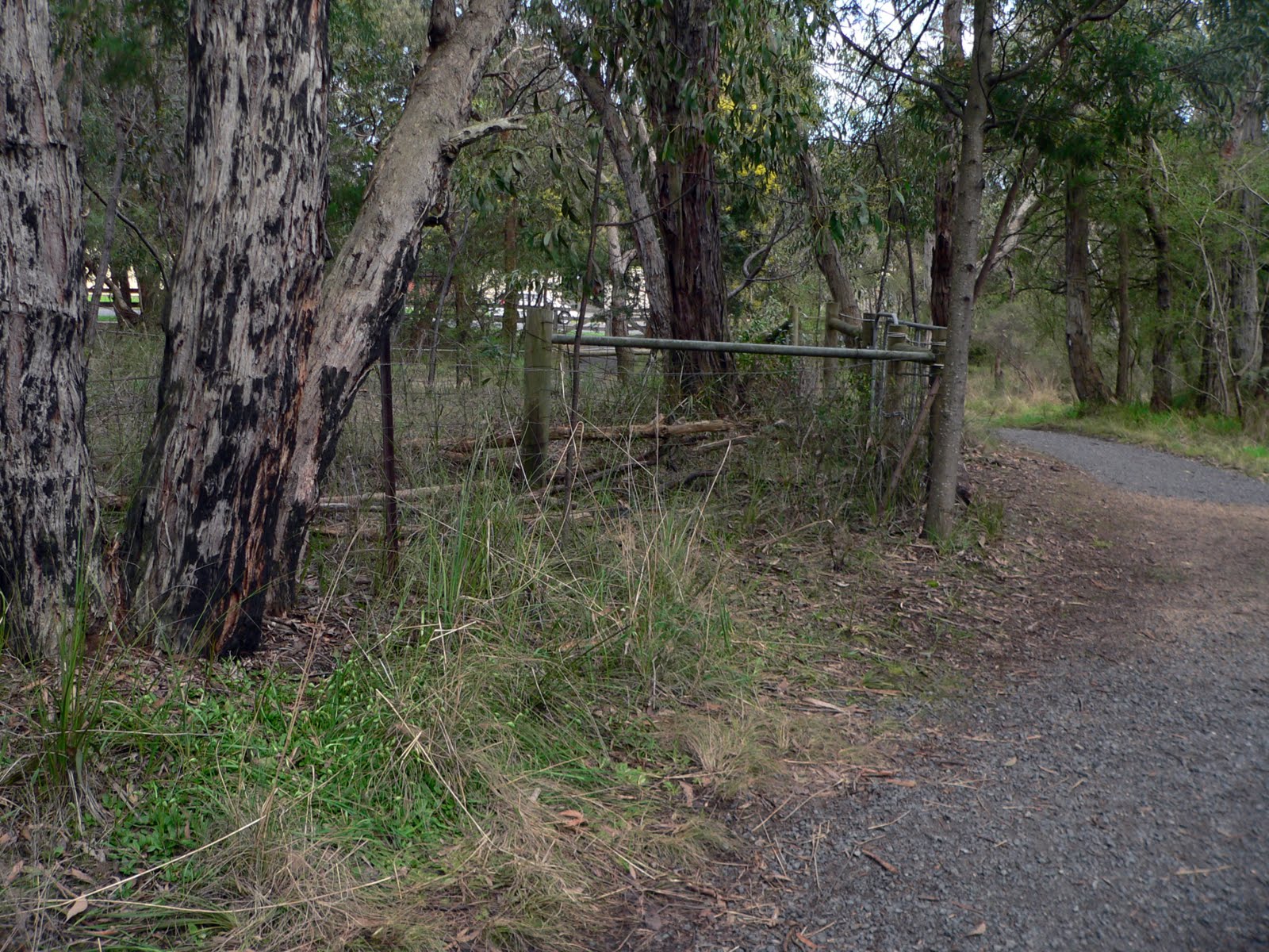 Melbourne Photographs Victoria Tasmania Queensland Australia: Bush ...