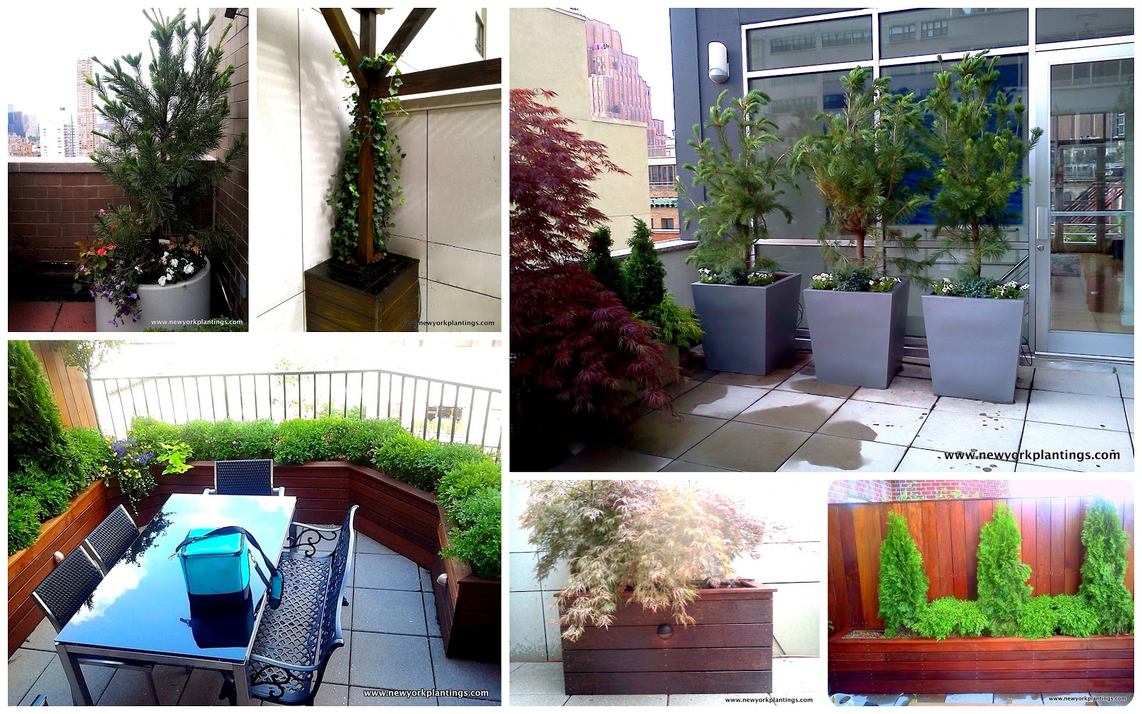 New York Plantings: Custom Planter Boxes: Aesthetic Efficacies