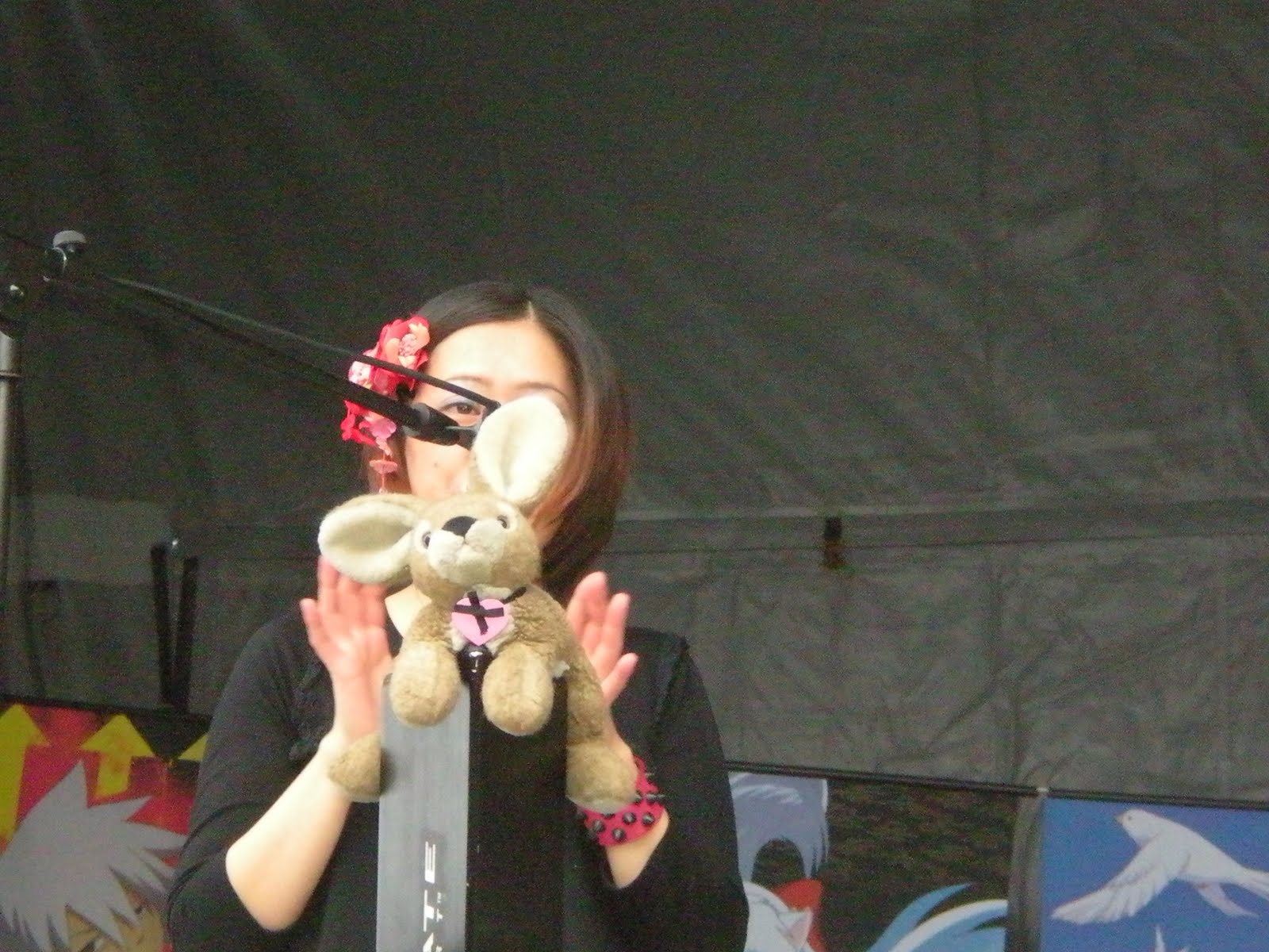 Accelerated Decrepitude: Sakura Matsuri 2011: Stand With Japan