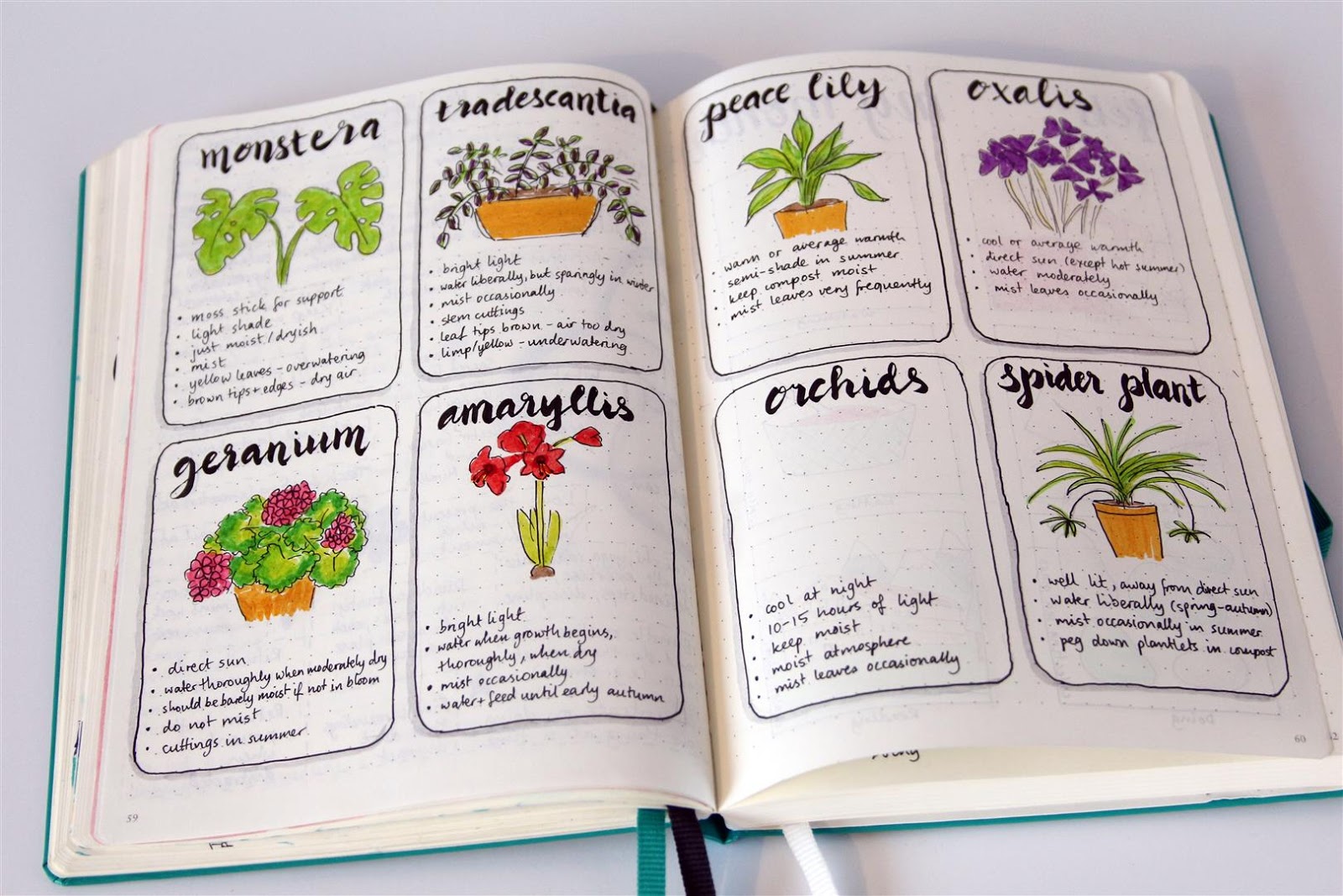emuse: Bullet journal ideas: Plant care