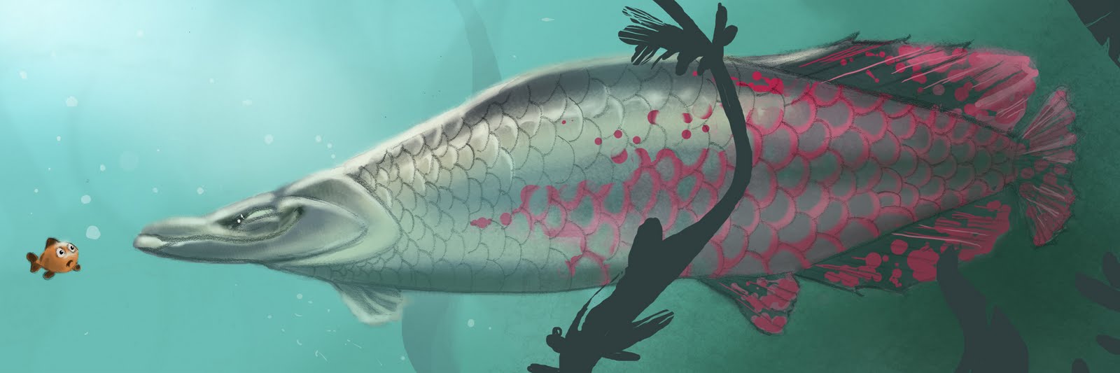 Aaron's Blah Blah Blog: Arapaima Trouble