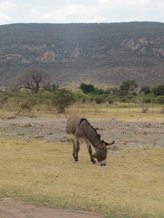 Dzanani Community Home Based Care Project: Where on earth is Dzanani?