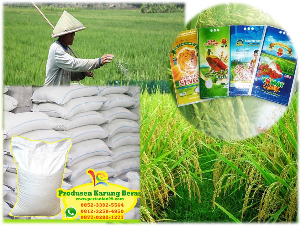 Tahapan Pemupukan Padi Yang Benar Jual Karung Beras Murah