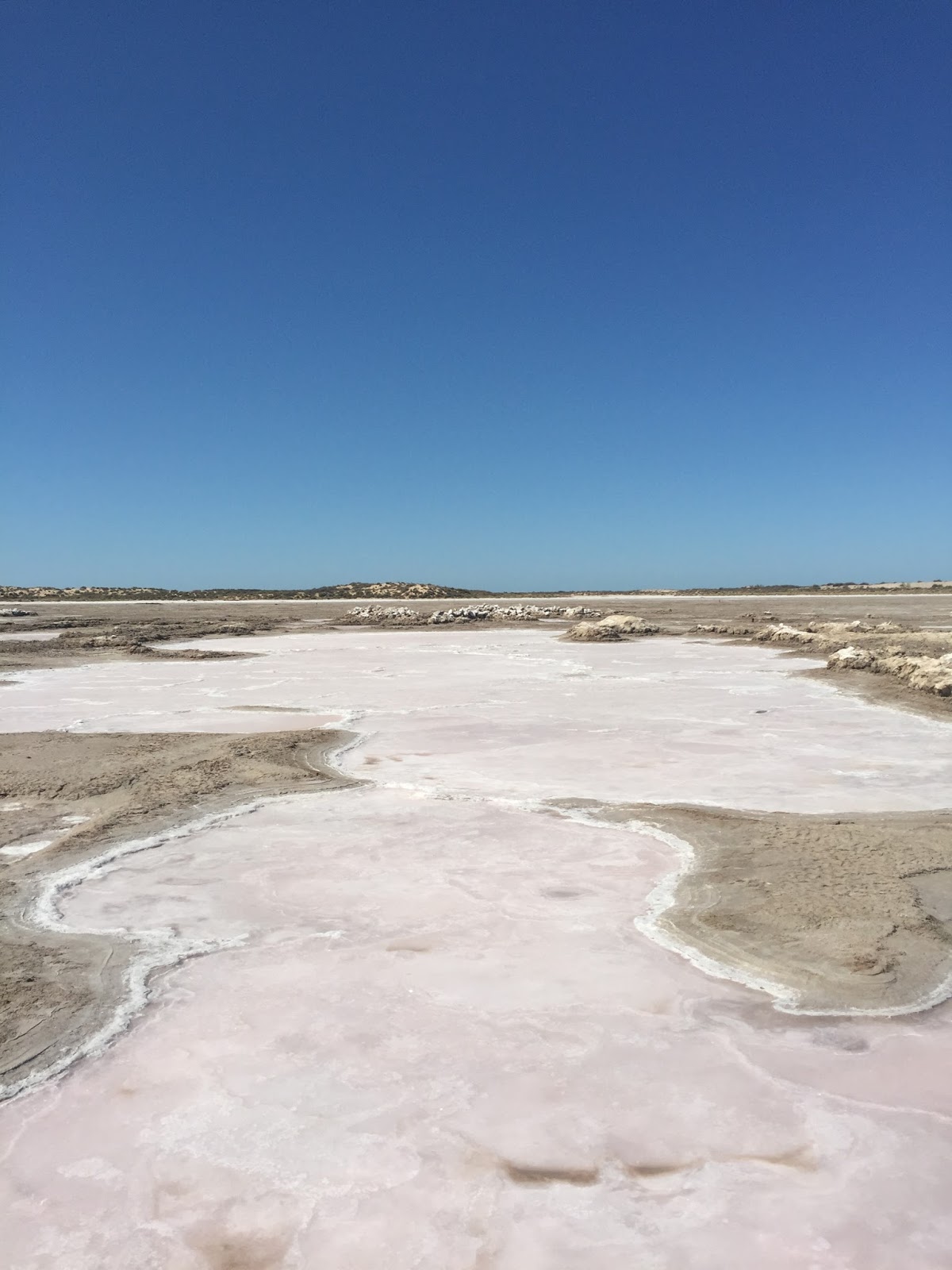 MCC's Marine Study Ablog 2016