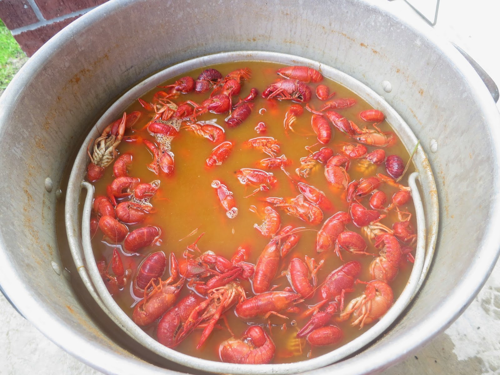 Life By The Pool. . .it's just BETTER!: Mardi Gras Ball "Hawg Wild"