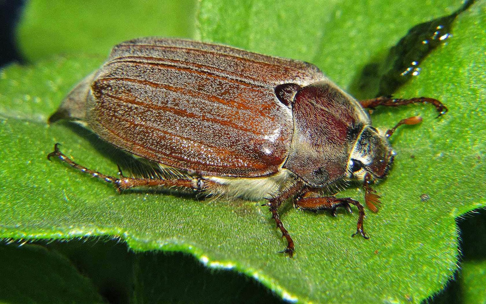 terraXchange: I terribili 5!