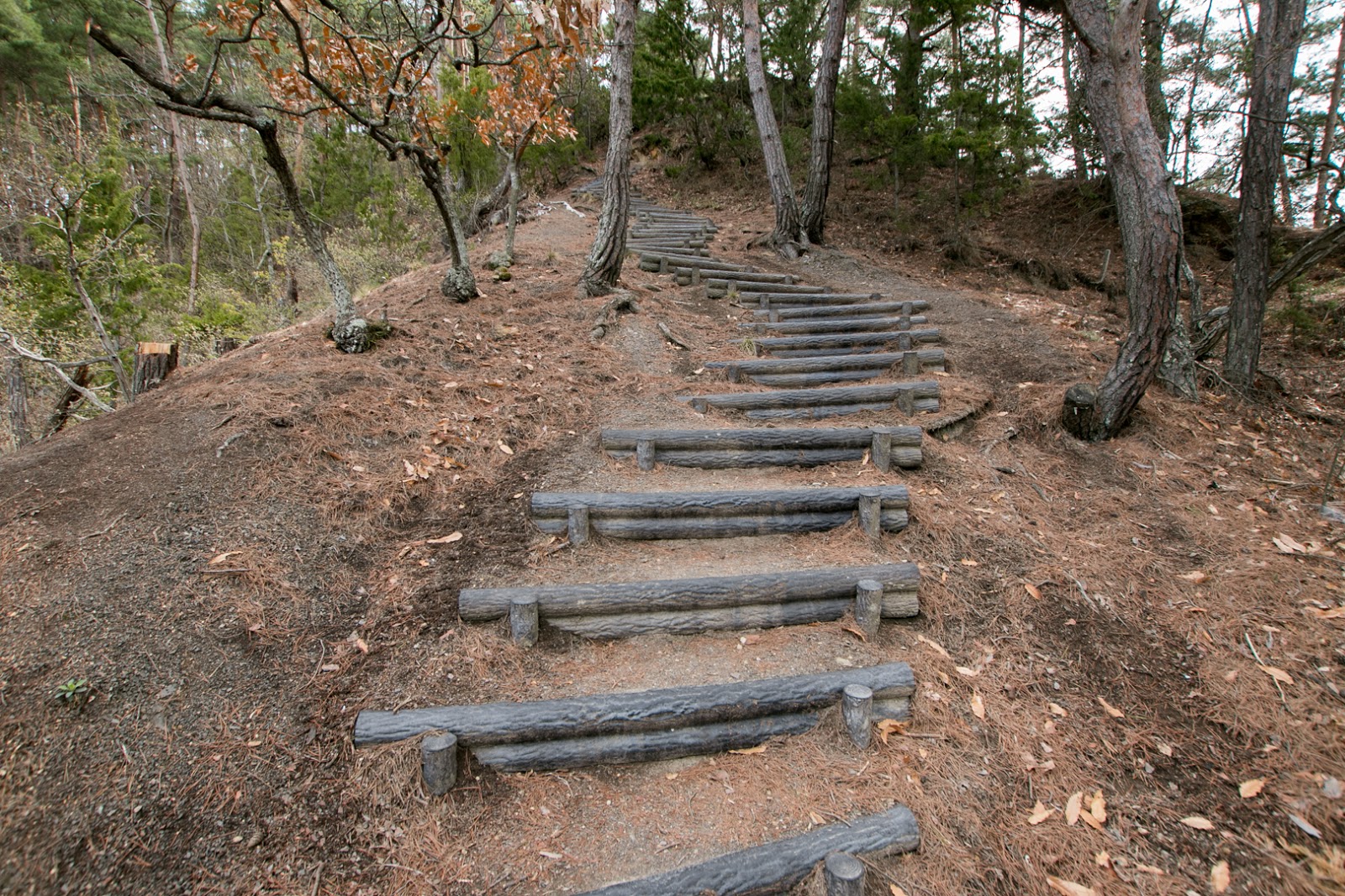 Toishi Castle -Might and plot- | Japan Castle Explorer