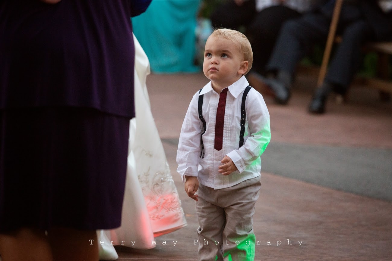 Rancho Soquel Wedding Photographer Terry Way Photography